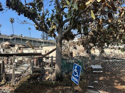 Altadena Community Church – A progressive church in Altadena, United ...